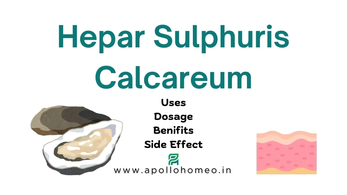 Hepar Sulphuris Calcareum Homeopathy: Key Benefits, Dosage, and Uses