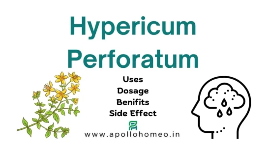 Hypericum Perforatum Homeopathy: Benefits, Dosage, and Uses