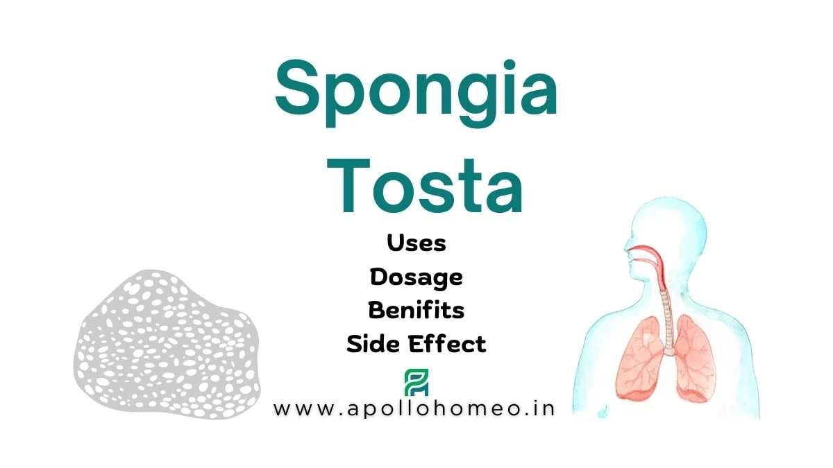 Spongia Tosta Homeopathy: Benefits, Dosage, and Treatment Uses